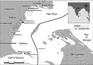 Palk Bay : A Unique Marine Ecosystem | Upscyard