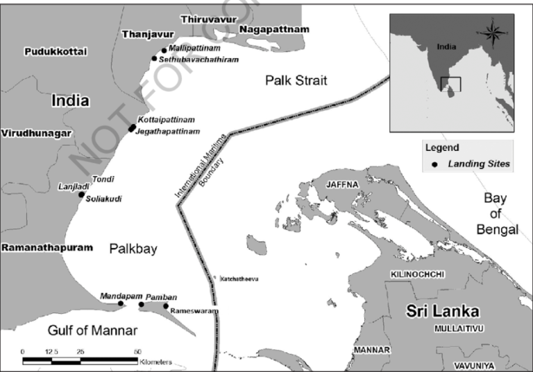 Palk Bay : A Unique Marine Ecosystem | Upscyard